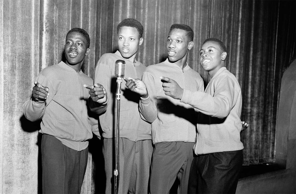 Who We Are – Forest Forward