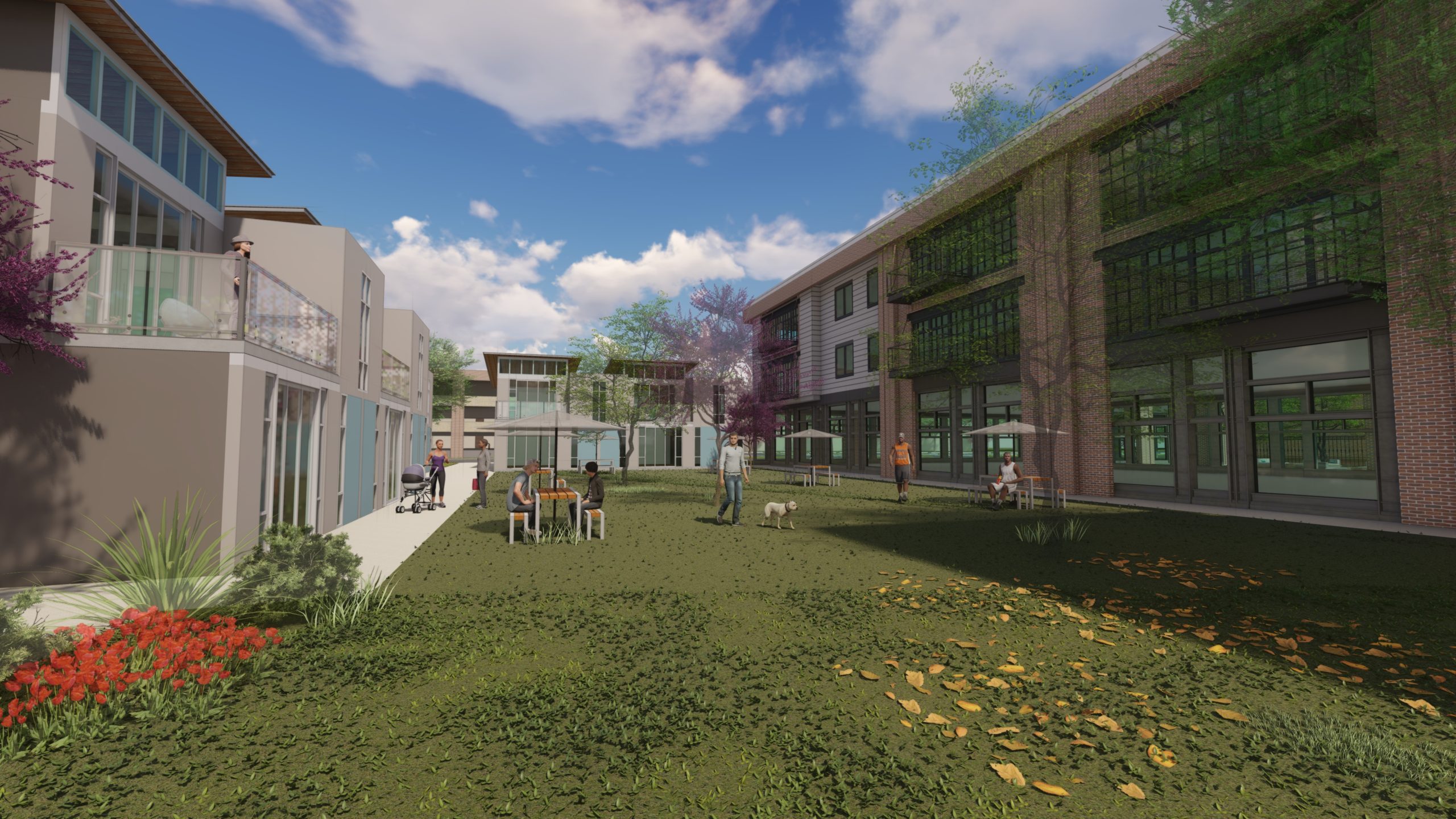 What We Do – Forest Forward