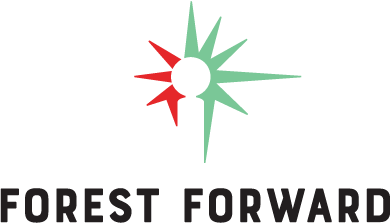 Forward Fund – Forest Forward
