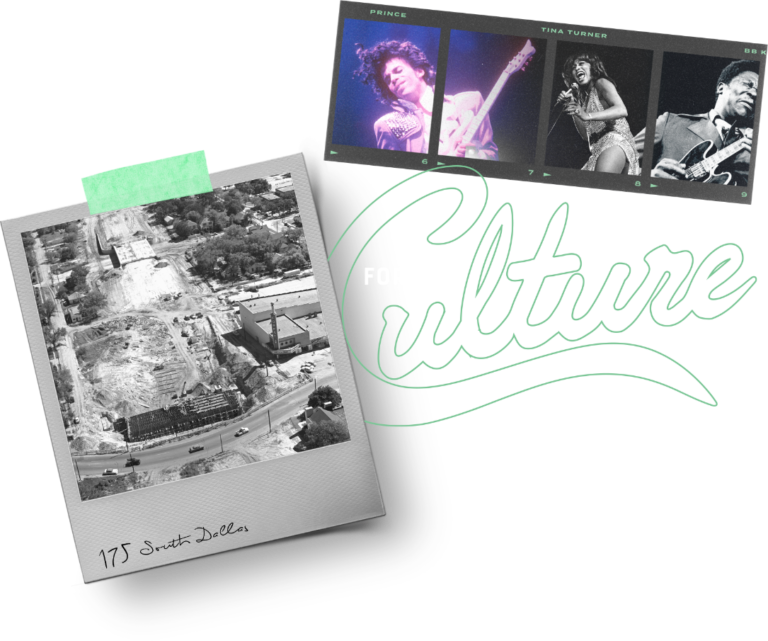 History – Forest Forward