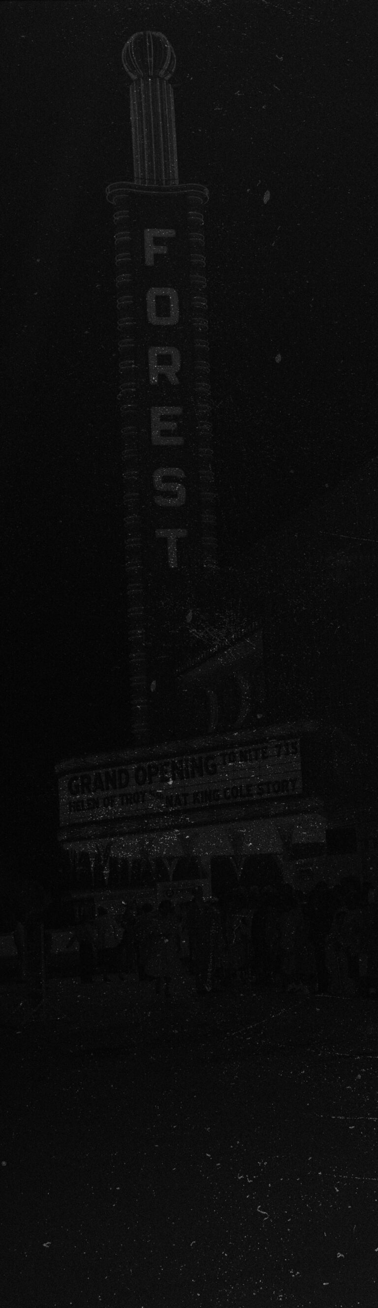 History – Forest Forward